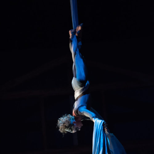 Five fun facts about the cast of Charlotte’s Web – Alberta Theatre Projects